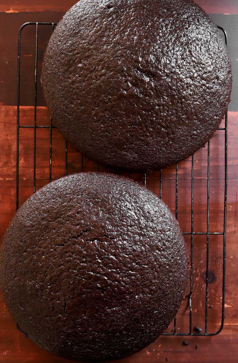 ABSOLUTE BEST Moist Chocolate Cake (VIRAL recipe & VIDEO ...