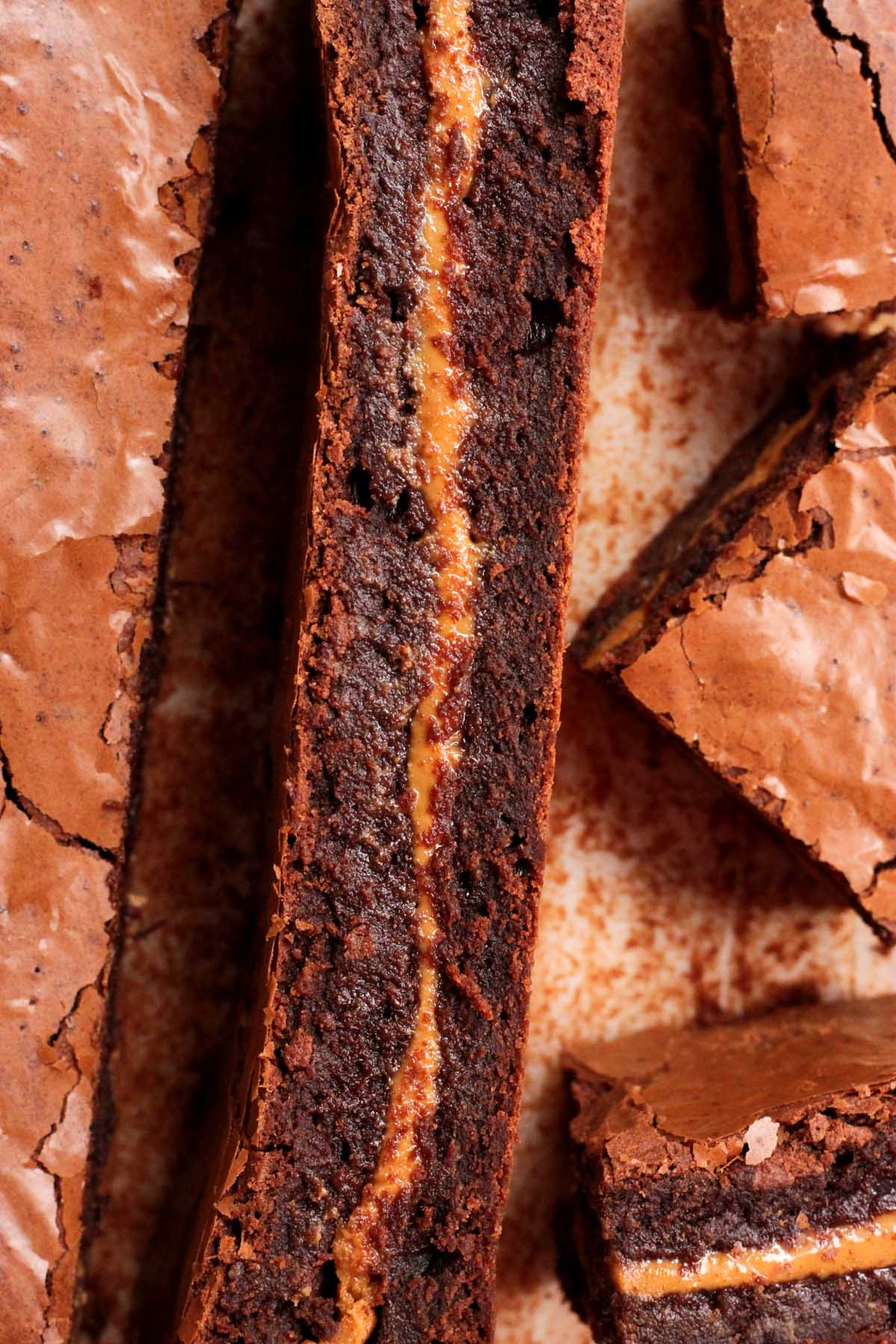 Peanut Butter Stuffed Brownies - Scientifically Sweet