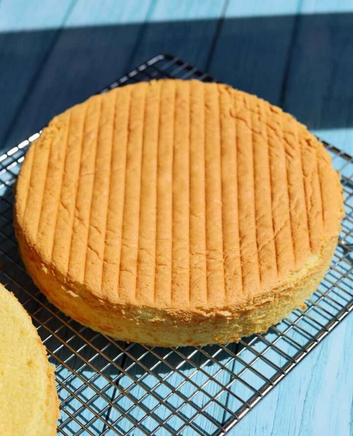 The BEST Sponge Cake - so soft & moist! (with VIDEO) - Scientifically Sweet